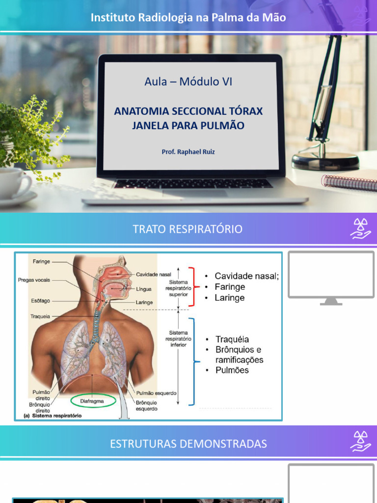 AULA_01_MOD_VI_ANATOMIA_SECCIONAL_TORAX | PDF | Tomografia ...