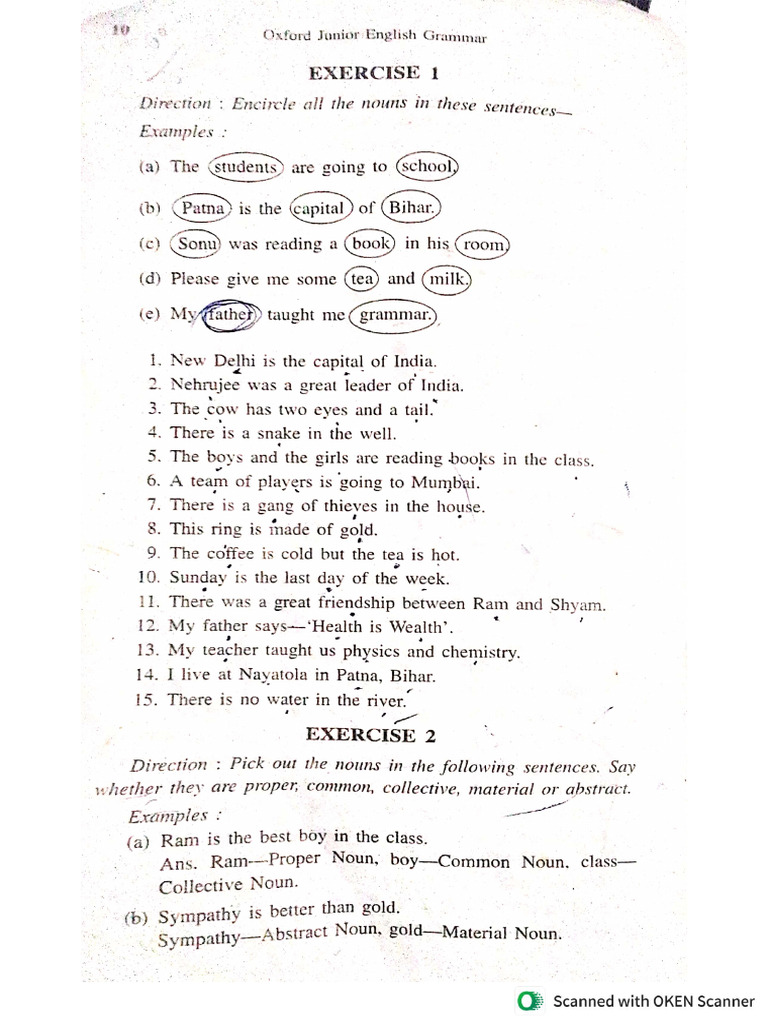 Noun, Pronoun, Adjective Exercises | PDF