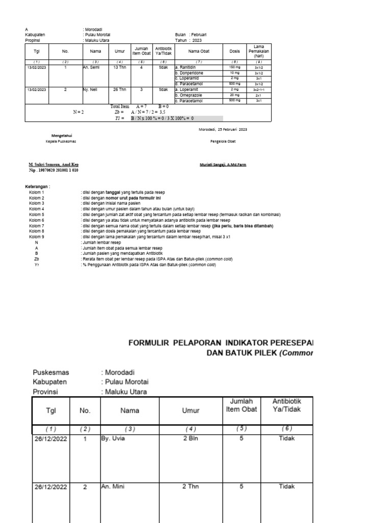 Lap Ispa Dan Diare | PDF