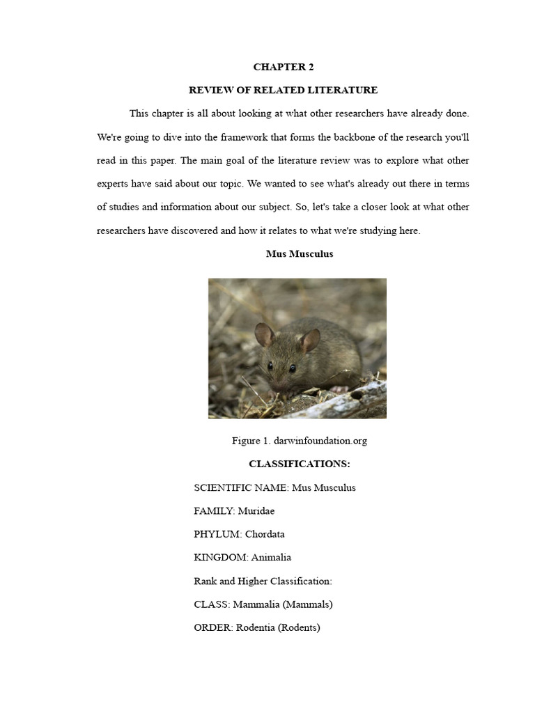 Classification of Mus Musculus and Bonsai | PDF | Bonsai | Horticulture