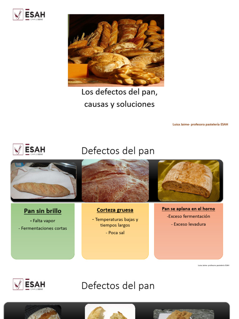 Defectos y soluciones en la elaboración del pan | PDF | Panes ...