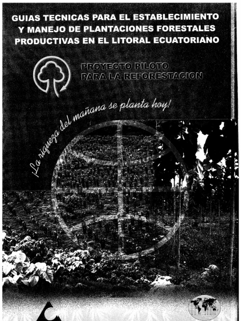 Pd17!97!3 Rev3 (F) S - Guias Tecnicas para El Establecimiento y Manejo de Plantaciones - S | PDF