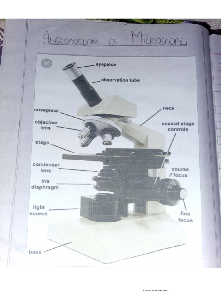 Cognosy Practicals | PDF