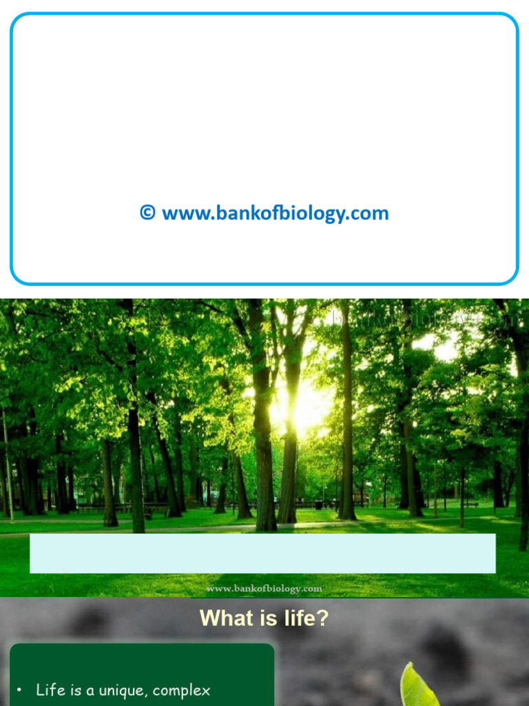 Understanding Living Organisms and Taxonomy | PDF | Organisms ...