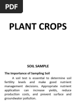 Ragdoll Method | PDF | Seed | Germination