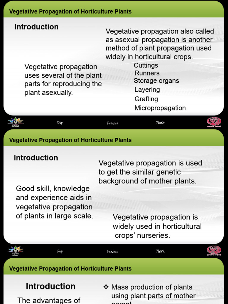 2 Lecture Plant Propagation Pdf Grafting Plants 