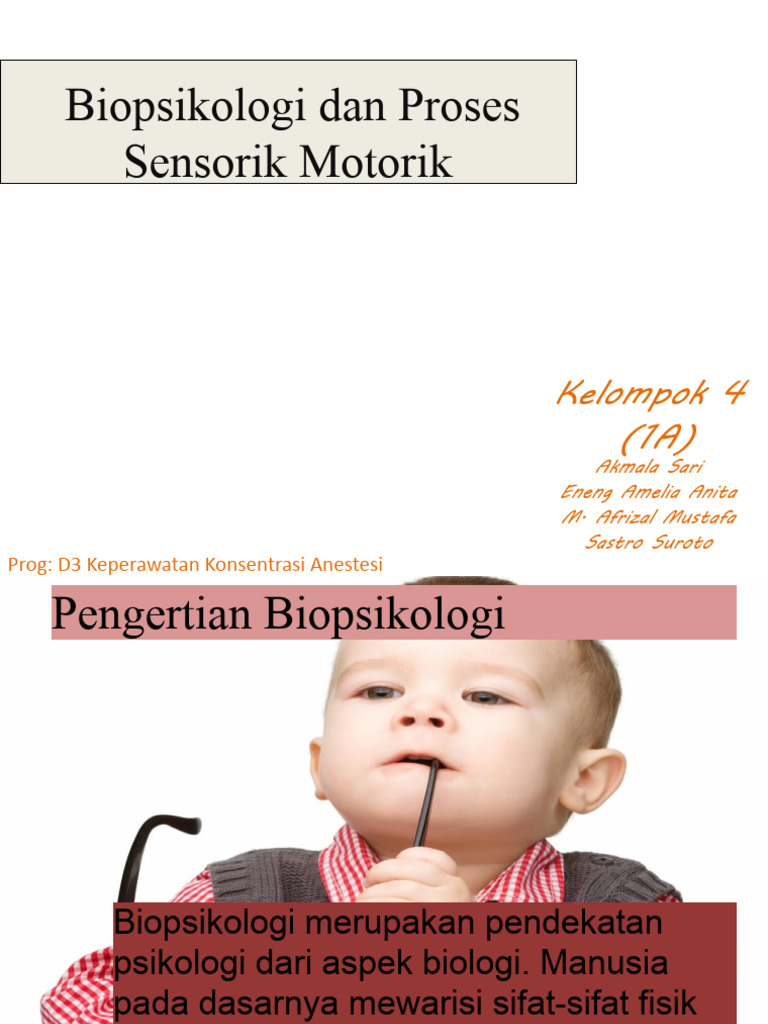 Biopsikologi Dan Proses Sensorik Motorik | PDF