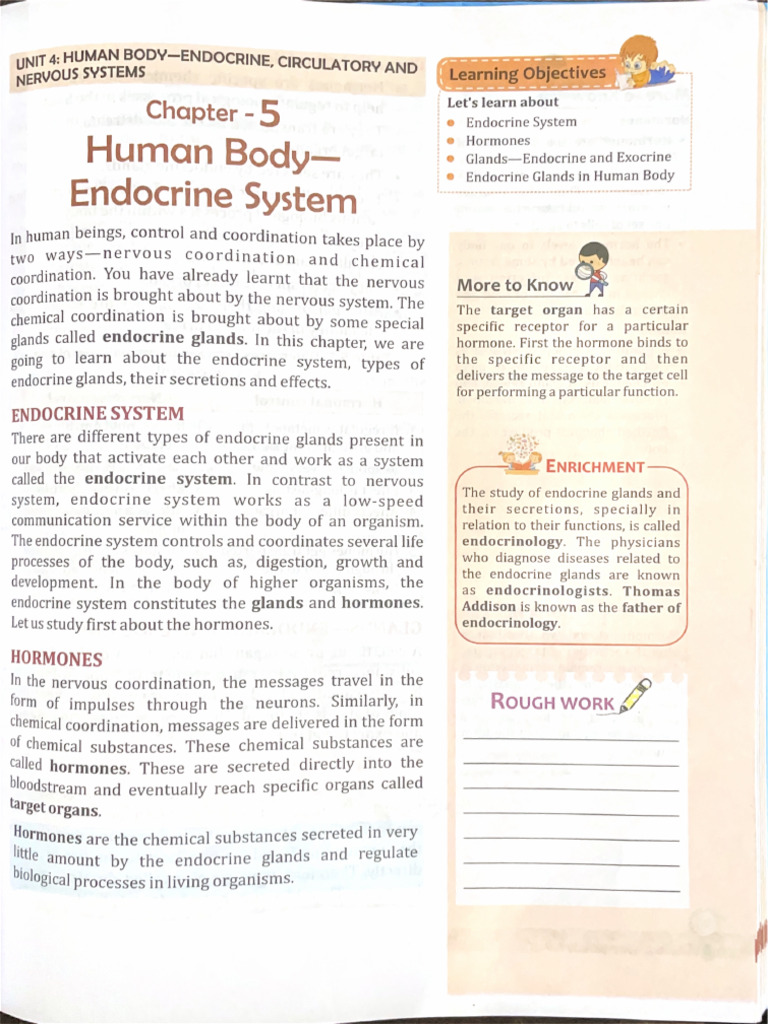 Endocrine Biology | PDF