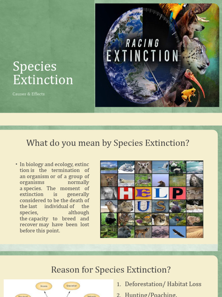 Species Extinction Reaso 8996180 | PDF | Extinction | Biodiversity
