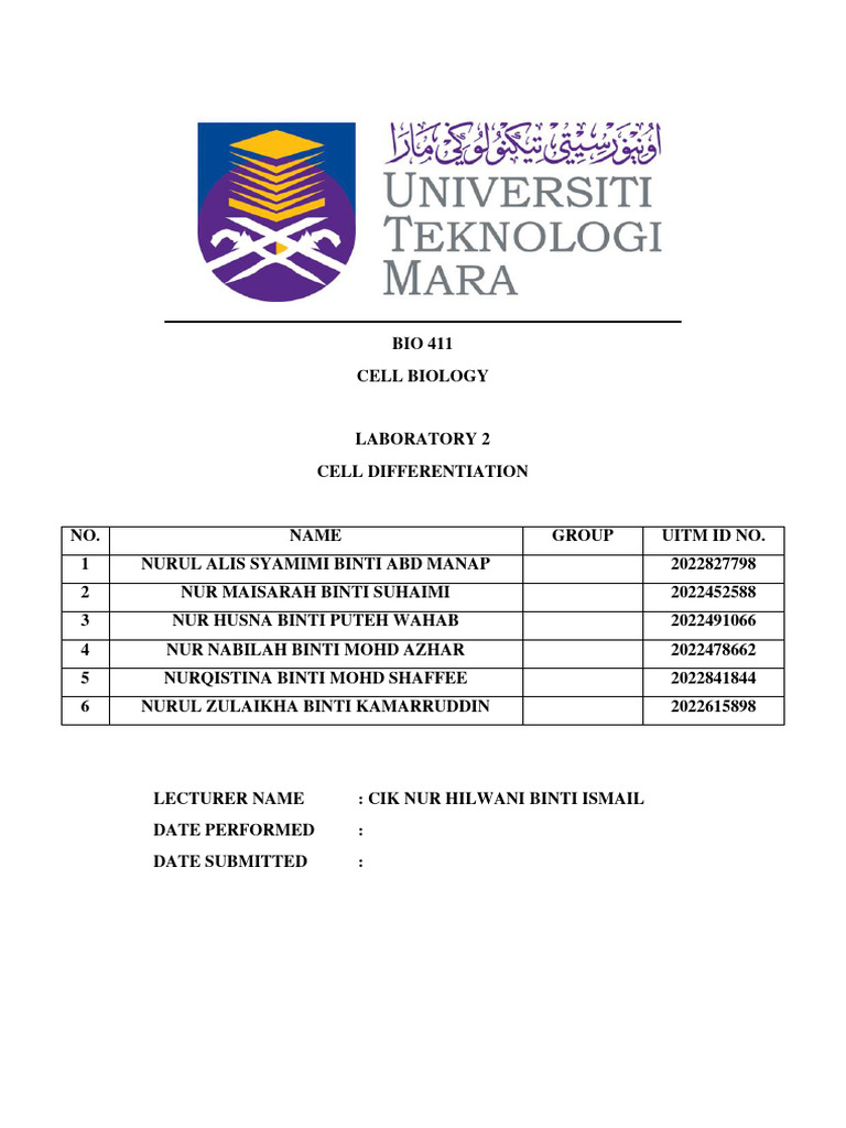 Bio411 Lab Report 2 | PDF | Mitosis | Cell (Biology)