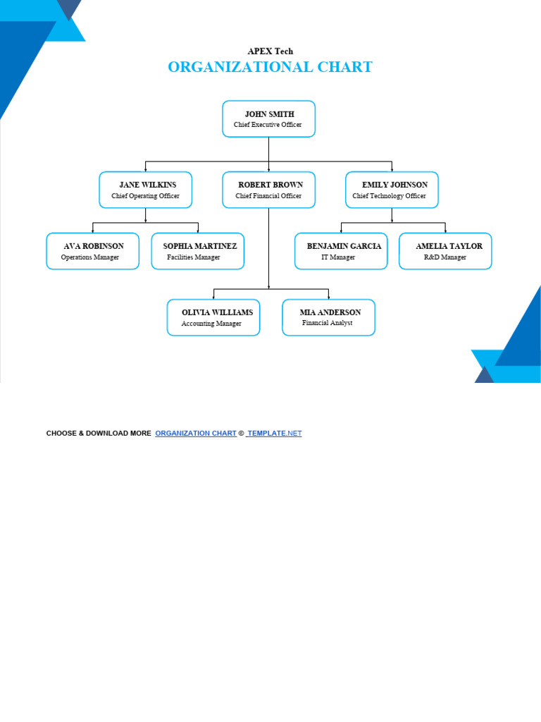 Organization Chart Word Template | PDF