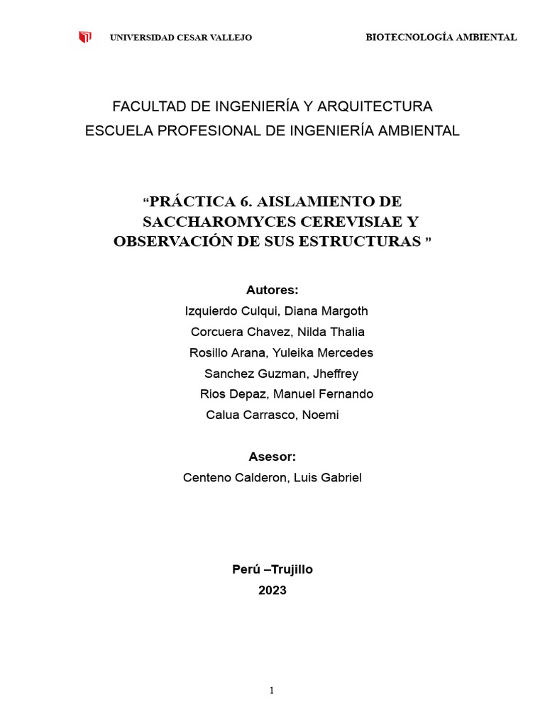 Práctica 6 - Aislamiento de Saccharomyces Cerevisiae y Observación de Sus Estructuras ...