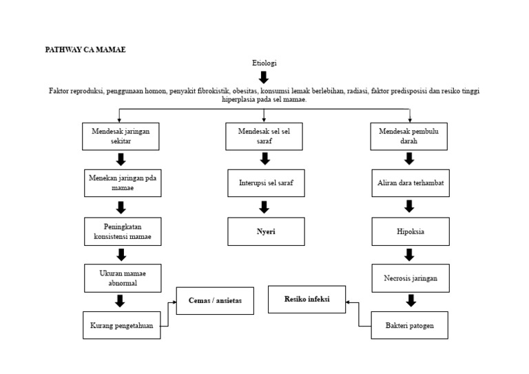 Pathway Ca Mamae | PDF