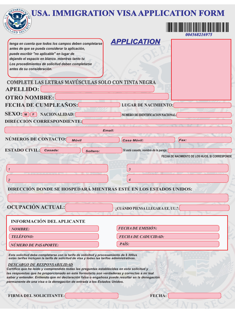 Form Visa Application. | PDF