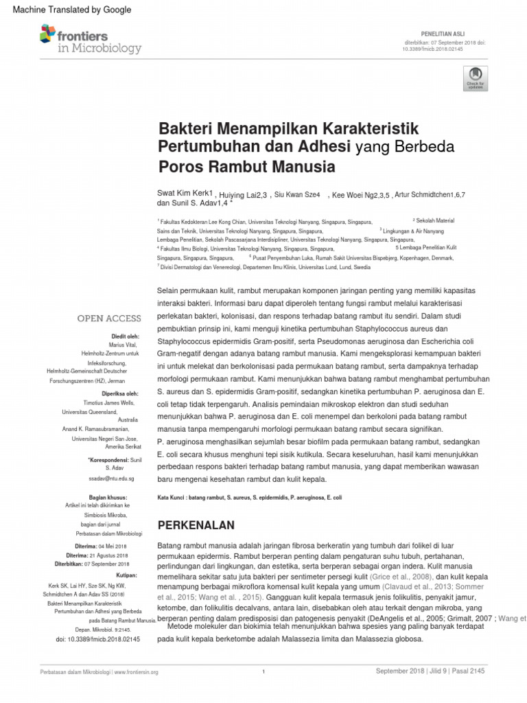 Karakteristik Bakteri pada Batang Rambut | PDF