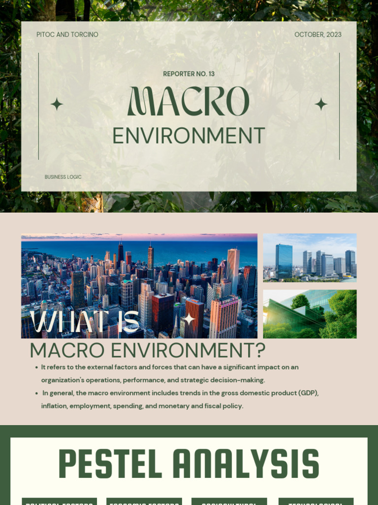 Macro Environment (Pitoc-Torcino) | PDF | Macroeconomics | Globalization