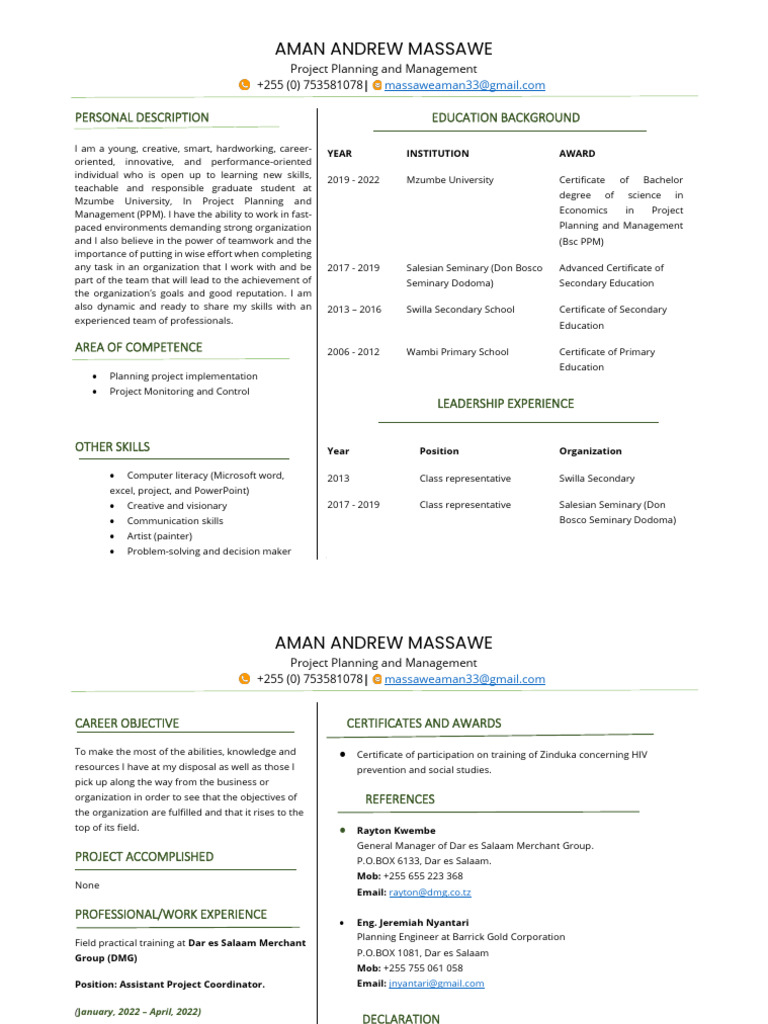 My CV | PDF | Cognitive Science | Learning