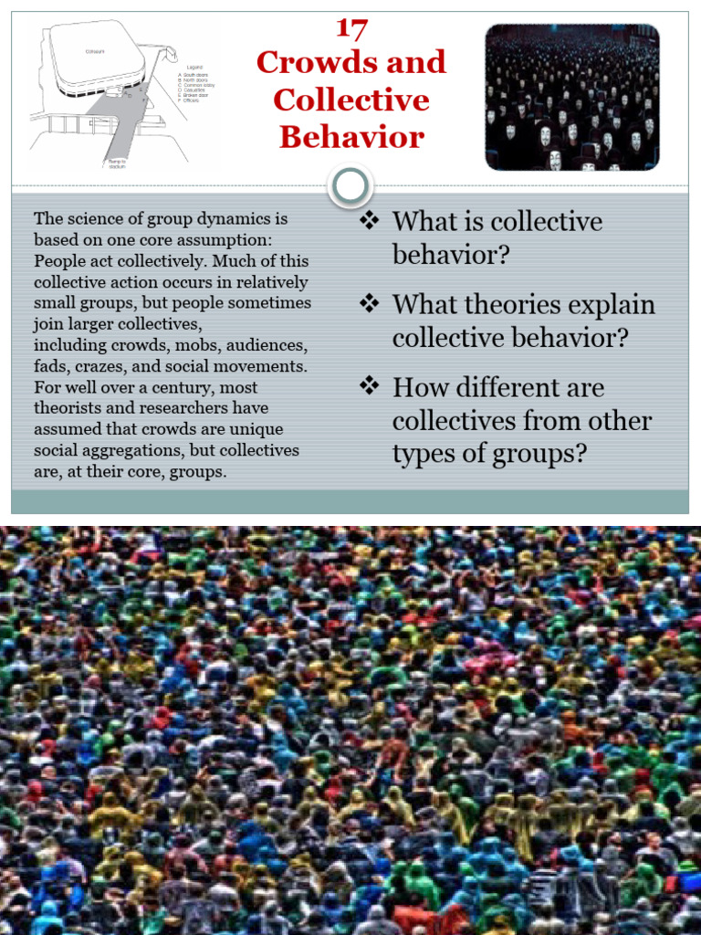 17 Crowds and Collective Behavior | PDF | Psychology | Psychological ...