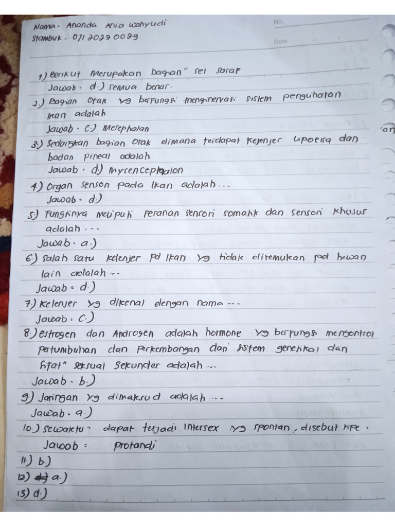 Ananda Ania Wahyudi - 07120220029 | PDF