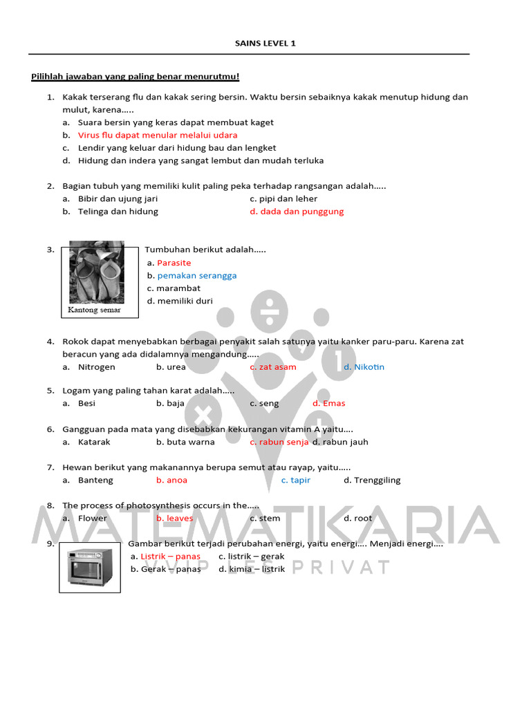 Sains Level 1 2022 | PDF