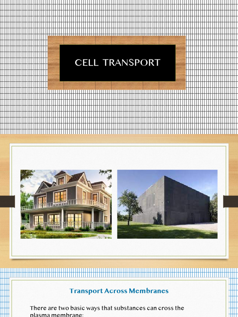 Cell Transport | PDF | Cell Membrane | Osmosis