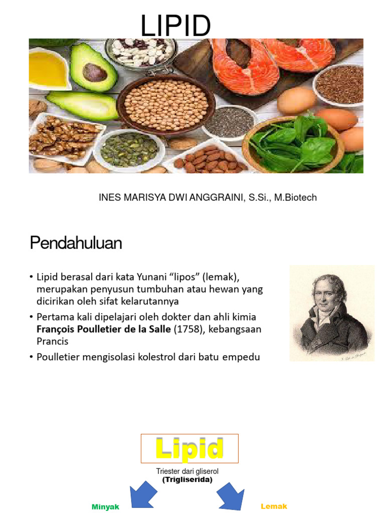 Lipid | PDF