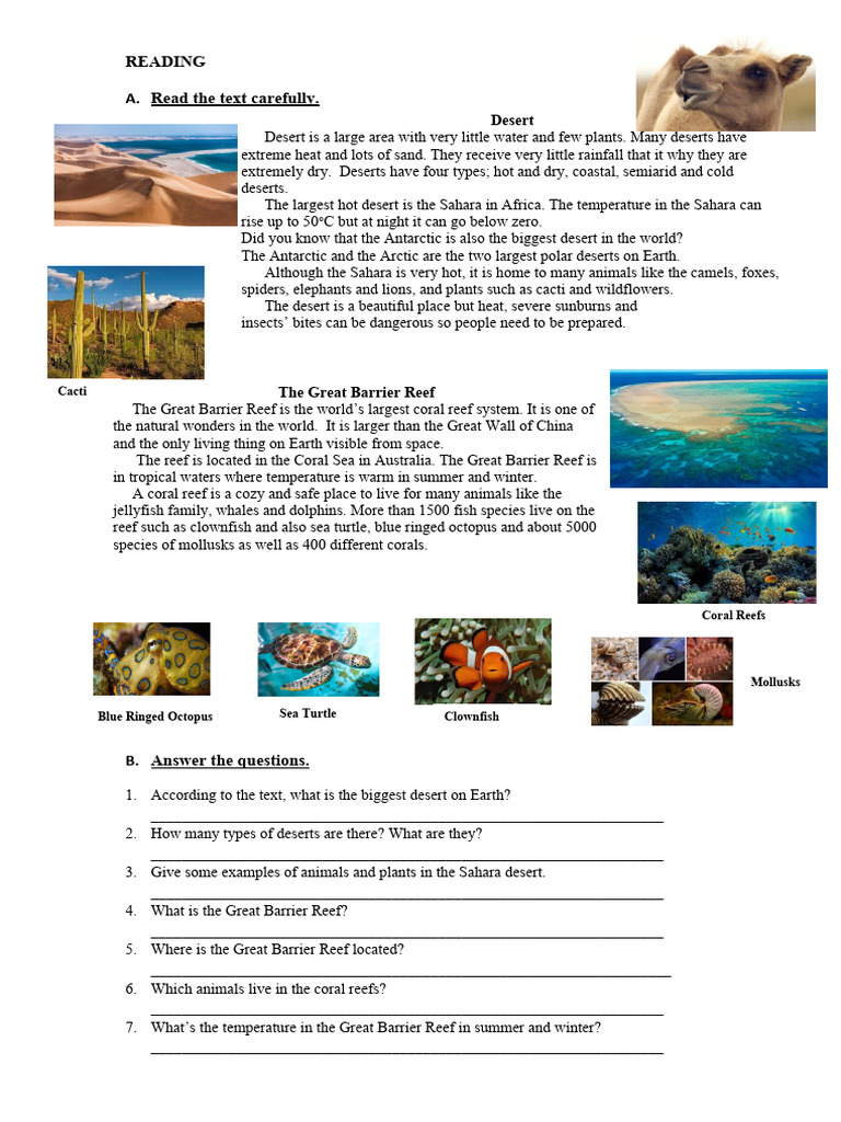 Landscapes Reading Homework Reading Comprehension Exercises 119510 ...