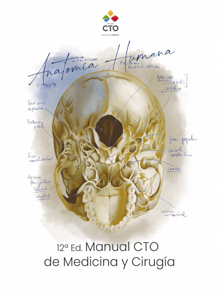 Cto 12 Ed Anatomia Humana | PDF | Hombro | Cráneo