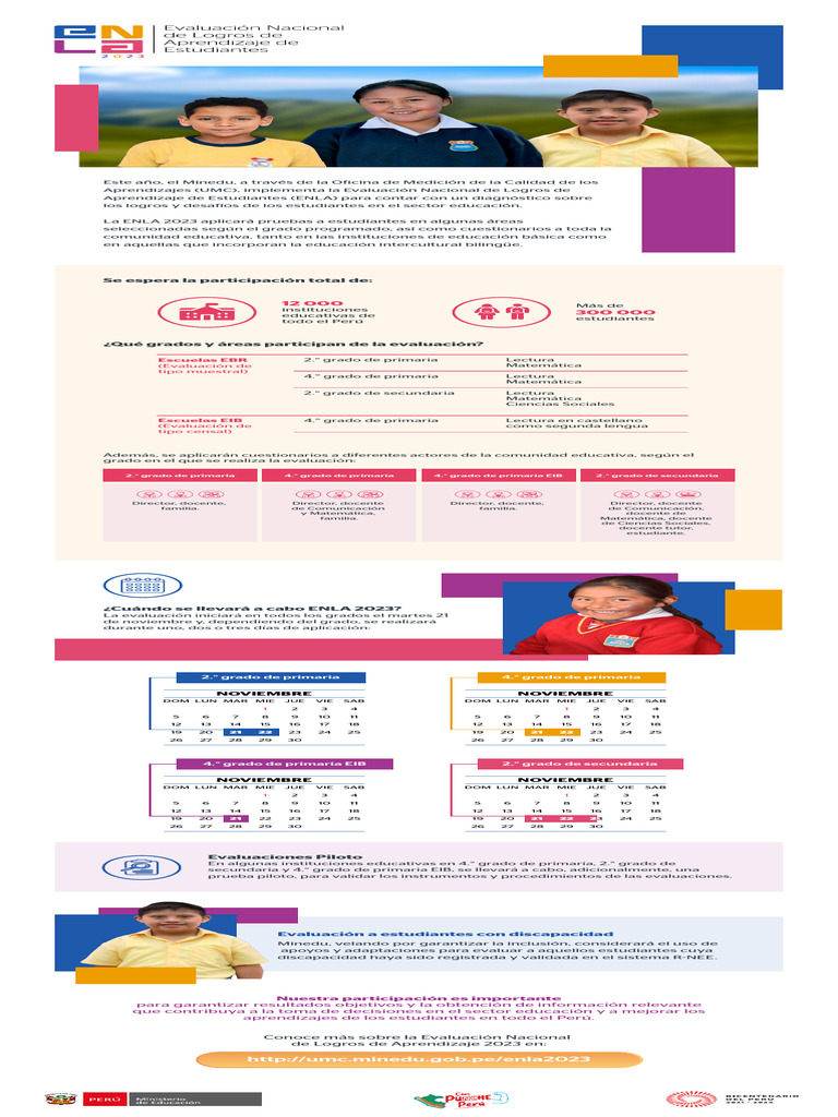 Infografia General ENLA | PDF | Evaluación | Maestros