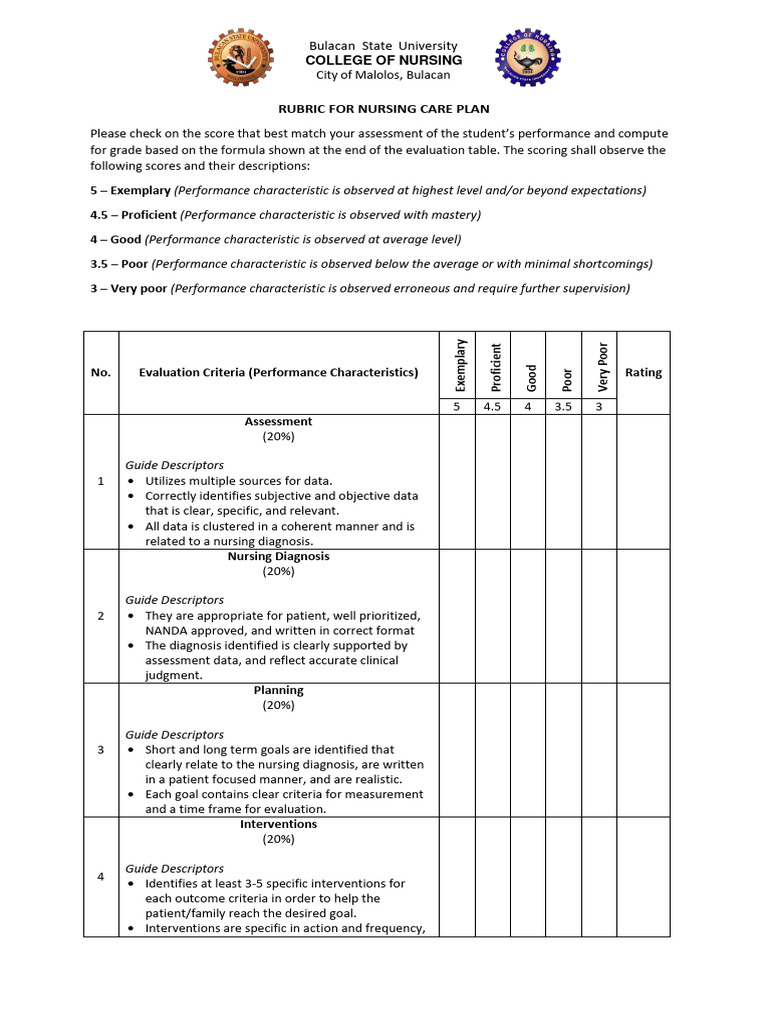 Nursing Care Plan Rubric | PDF | Rubric (Academic) | Nursing