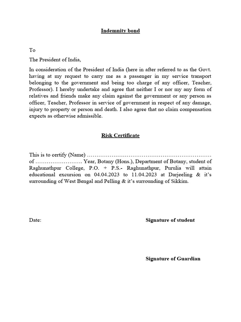 Indemnity Bond 2023 | PDF