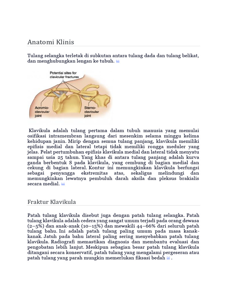 Anatomi Klinis | PDF