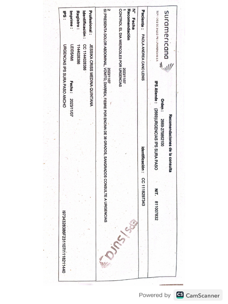 Incapacidad Paola Cano | PDF