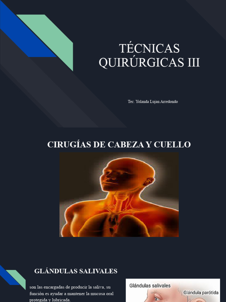Cx Cabeza Y Cuello Pdf Anatomía Humana Anatomía
