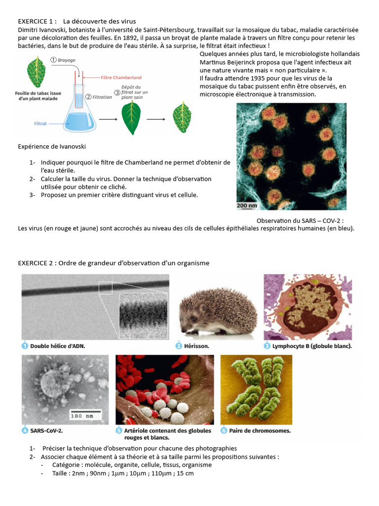 Découverte des virus par Ivanovski | PDF