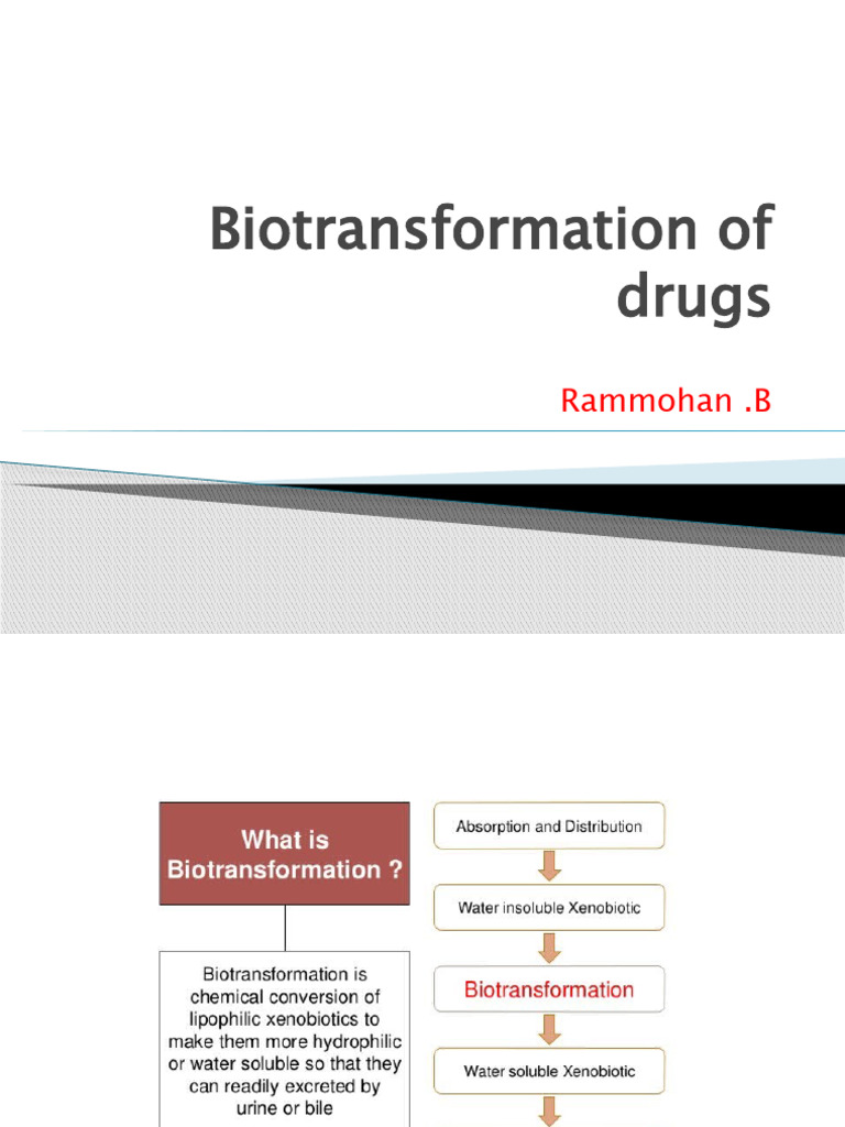 Biotransformation | PDF