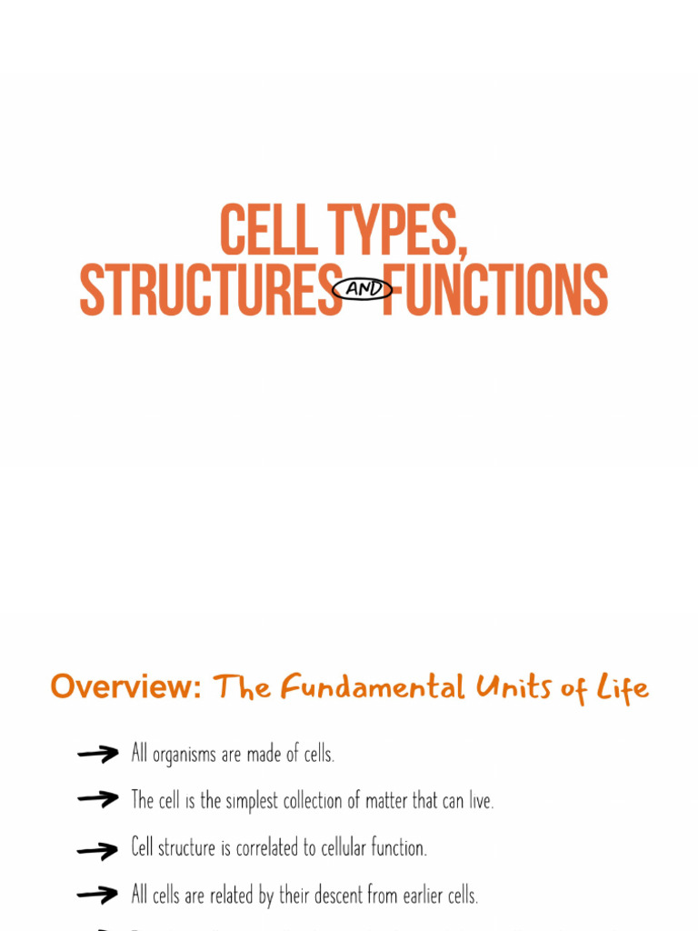 Lesson 2 - Cell Types, Structures and Functions | PDF