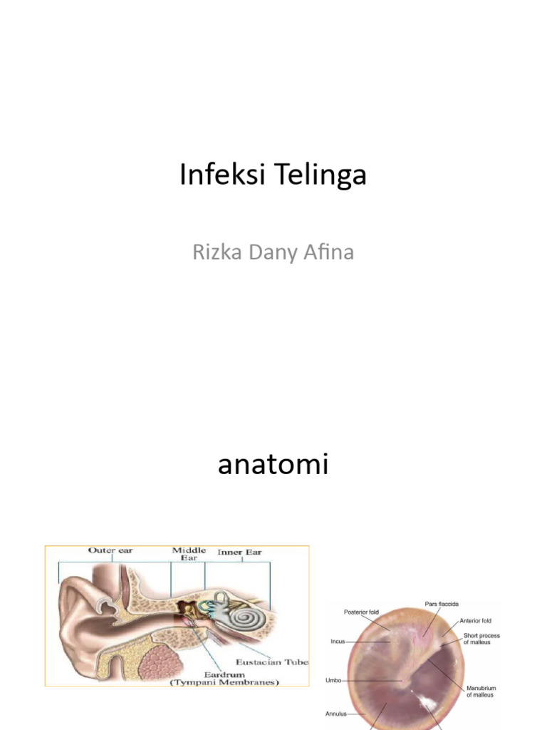 Kuliah Tuli Konduktif Infeksi Telinga | PDF | Human Head And Neck ...