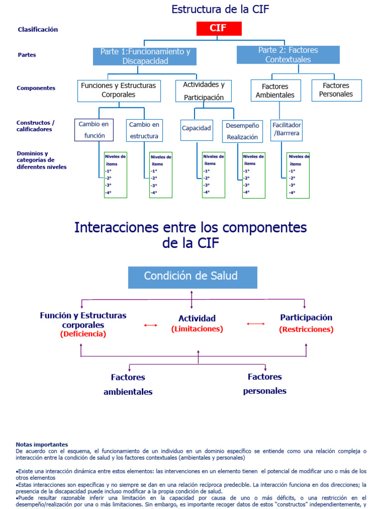 Estructura e Interaccion de La Cif | PDF | Invalidez | Conceptos ...