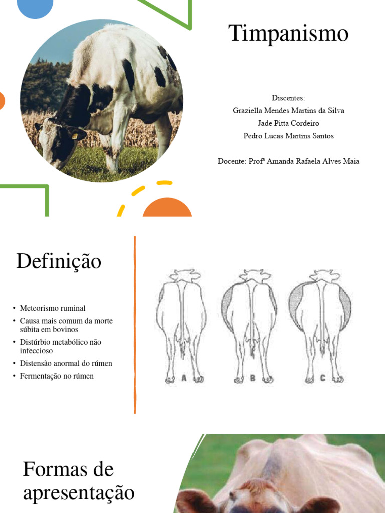 Timpanismo em Bovinos: Causas e Tratamentos | PDF | Medicina Clínica ...