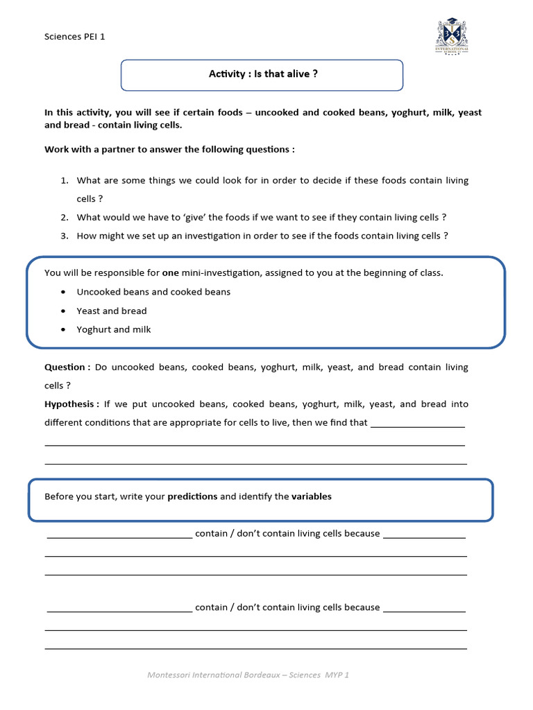 Activity Is That Alive | PDF