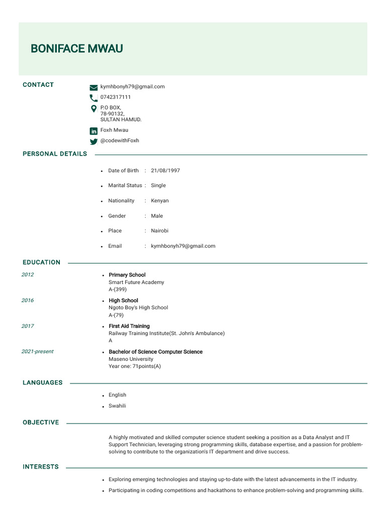 Professional Cv Mwau Pdf Java Script Computing 9855