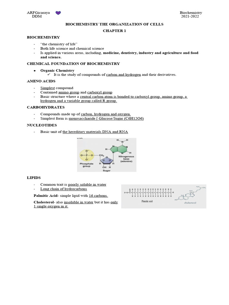 (Chapter 1) Biochemistry | PDF | Macromolecules | Biochemistry