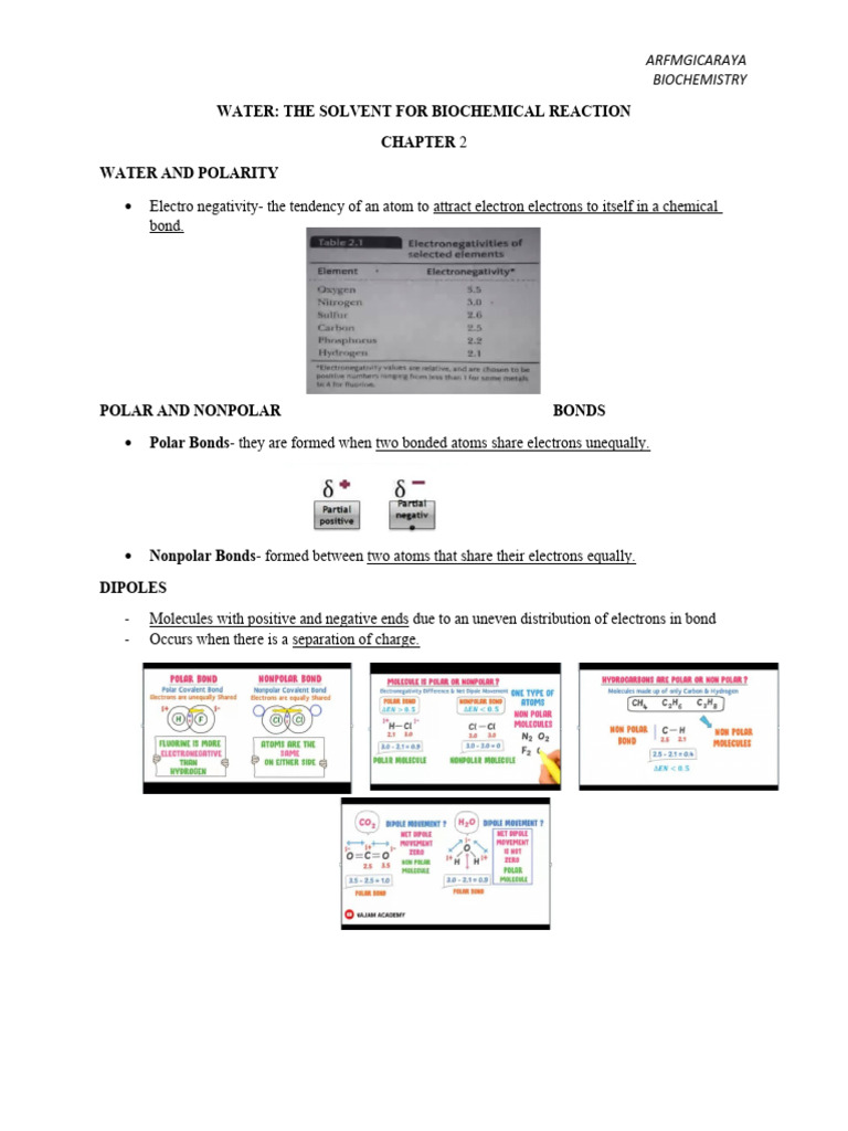 (Chapter 2) Water The Solvent For Biochemical Reaction | PDF | Chemical ...