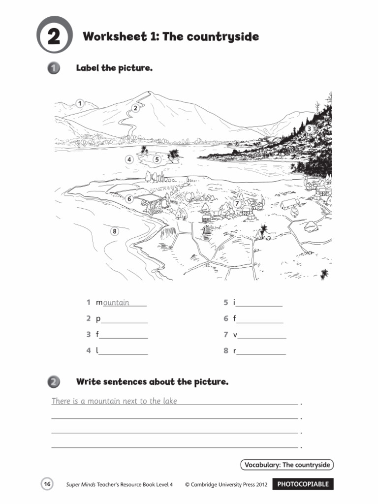 Worksheets Unit 2 Review | PDF