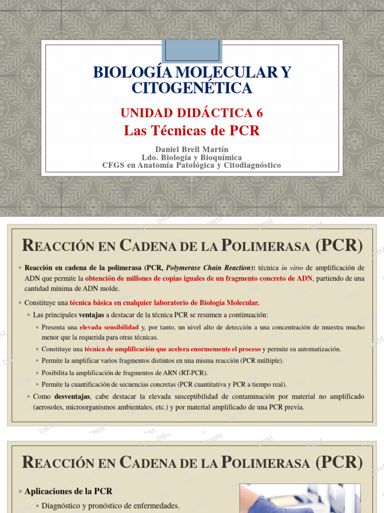 Técnicas de PCR en Biología Molecular | PDF | Reacción en cadena de la ...