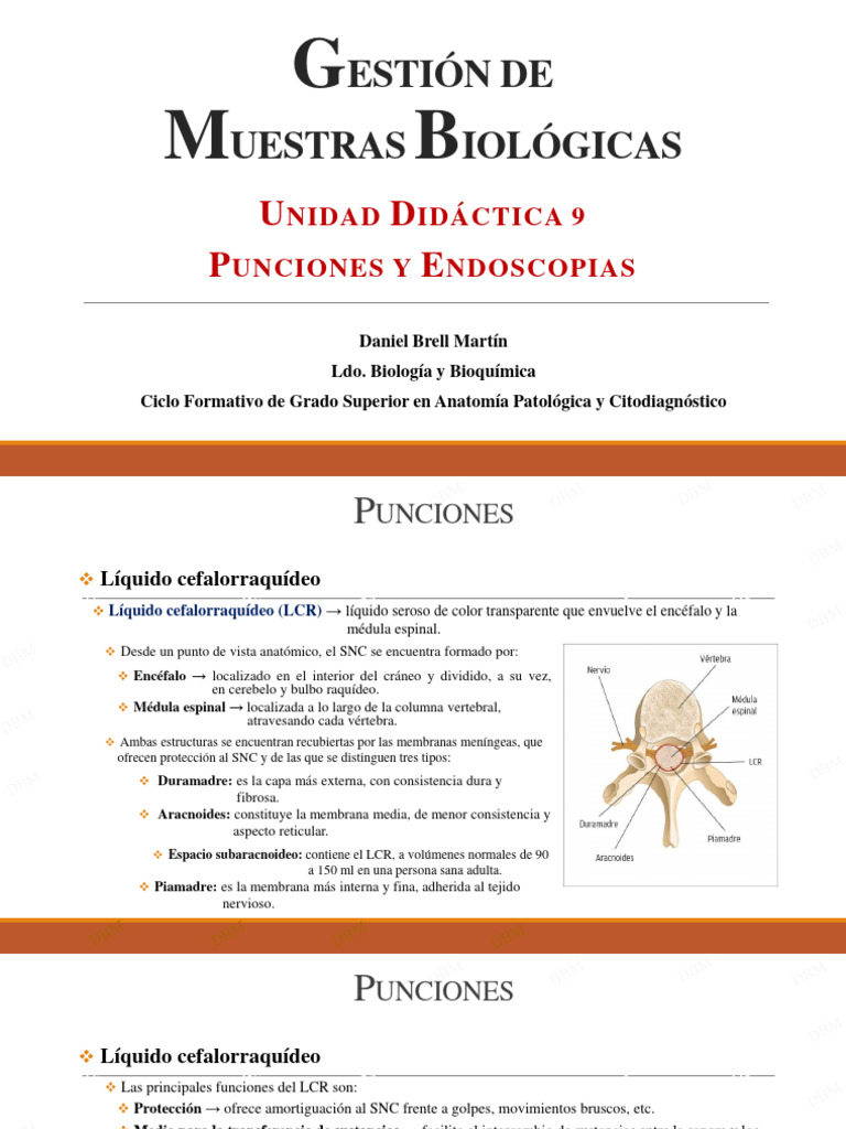 Unidad Didáctica 9 GMB - Punciones y Endoscopias | PDF | Fluido ...