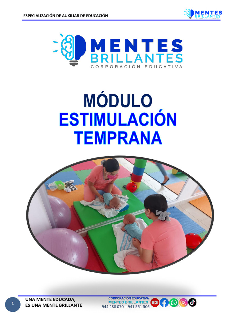 2.- Modulo Estimulaciòn Temprana - 2023 | PDF | Neurona | Cerebro