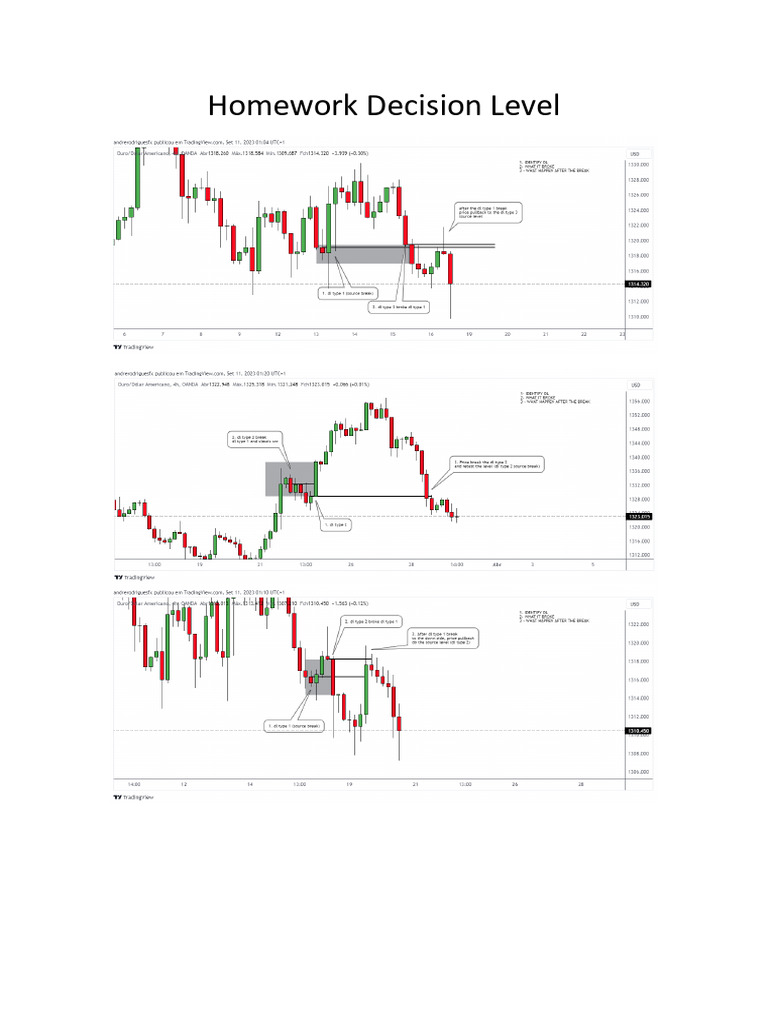 Homework Decision Level | PDF
