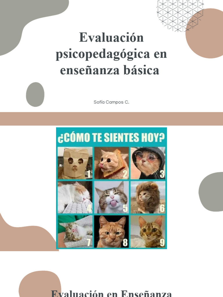 Elegant Education Pack For Students XL by Slidesgo | PDF